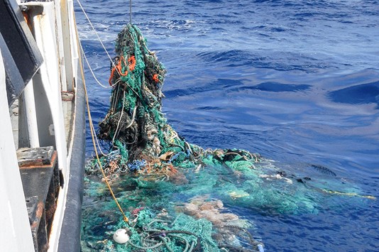 Nos projets de développement durable