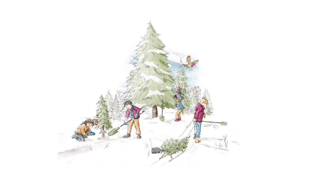 Our sustainable development projects