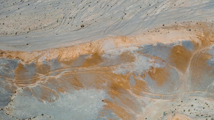 Daniel Drain | Head of Sustainability & Stewardship | Rothschild & Co