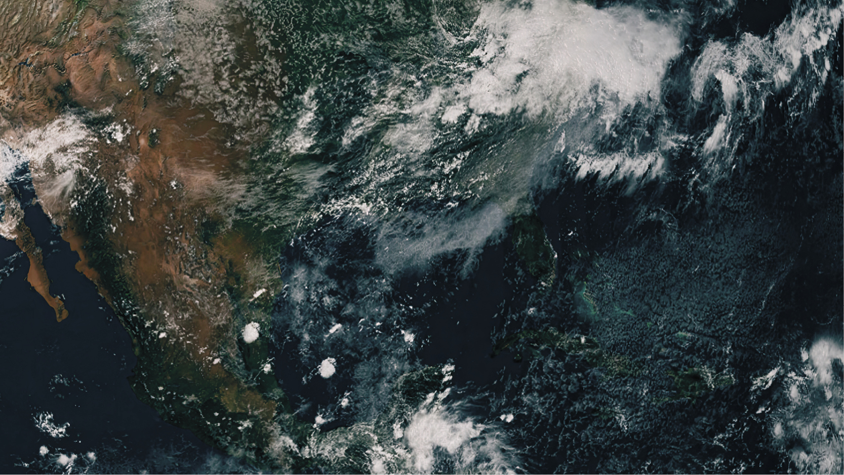 President Trump | Rothschild & Co