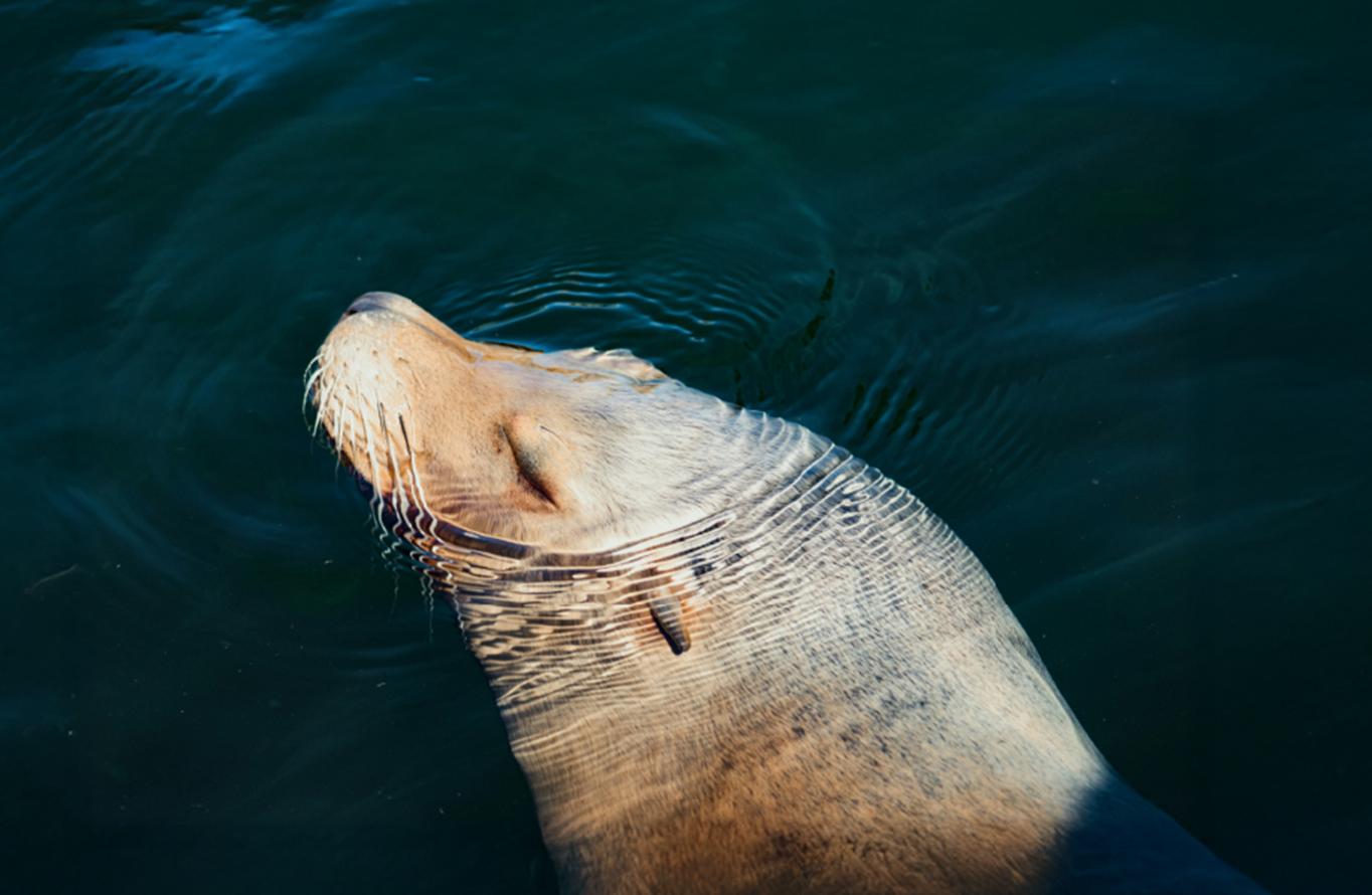 Rothschild & Co expands Wealth Management offering in Luxembourg